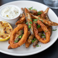 Bollo House Pub & Restaurant | Chiswick