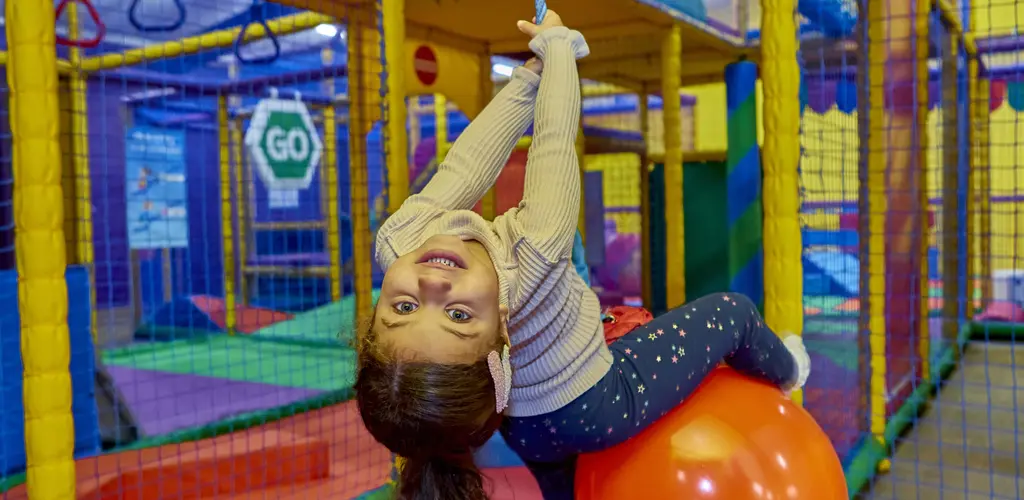 Our Brands | Wacky Warehouse