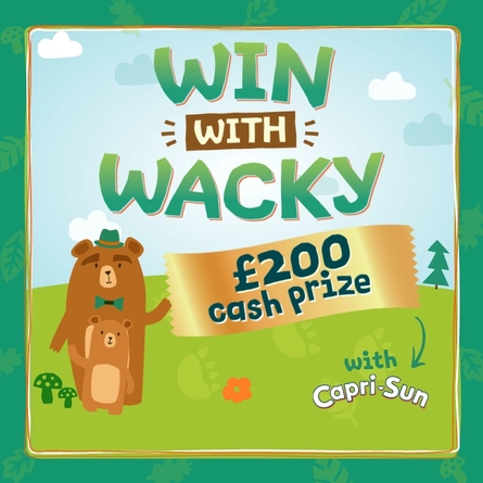 Wacky Warehouse at Hartford Mill - Your Ultimate Soft Play Destination